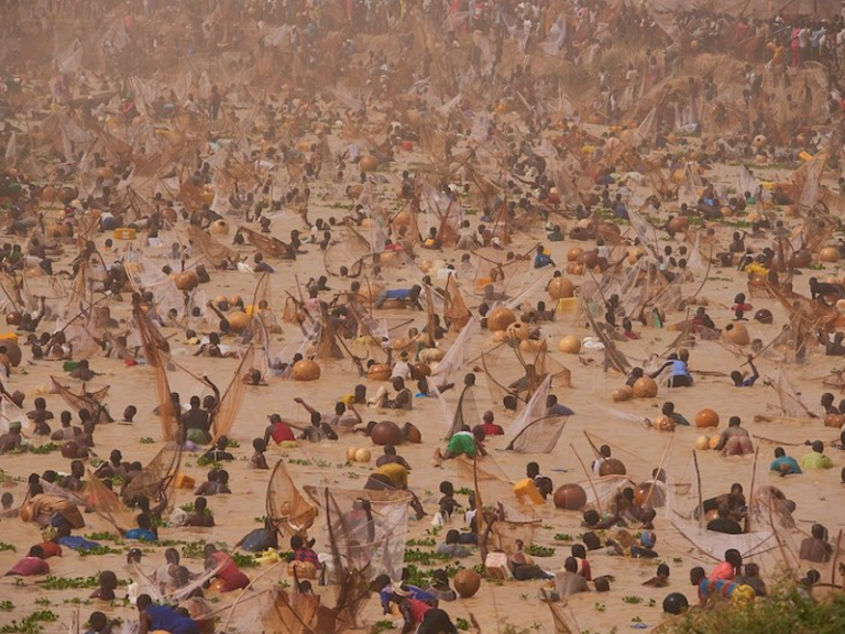 The Argungu Fishing Festival: A Celebration of Culture in Kebbi ...