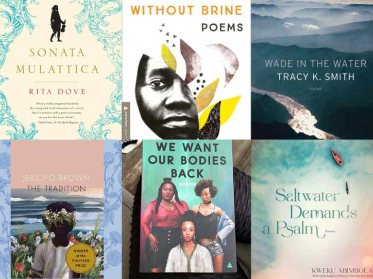 10 Poetry Books by Black Poets to Add to Your Book Shelf - FunTimes ...