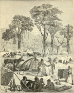 Khoikhoi Heritage: A glimpse into one of Africa's oldest indigenous ...