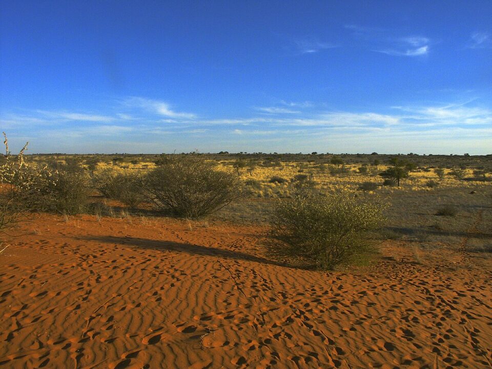 Khoikhoi Heritage: A glimpse into one of Africa's oldest indigenous ...