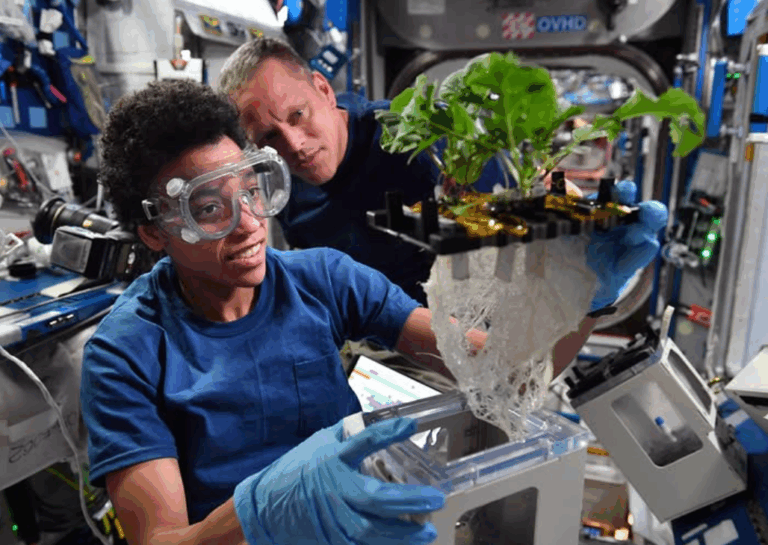6 Black Women Who Have Made It To Space As Astronauts - FunTimes Magazine
