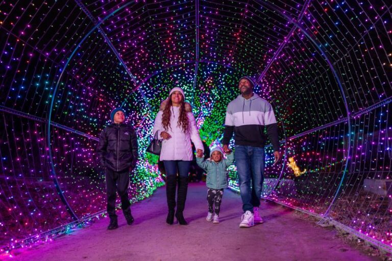 5 Dazzling Holiday Light Displays Around Philly You Don’t Want To Miss ...